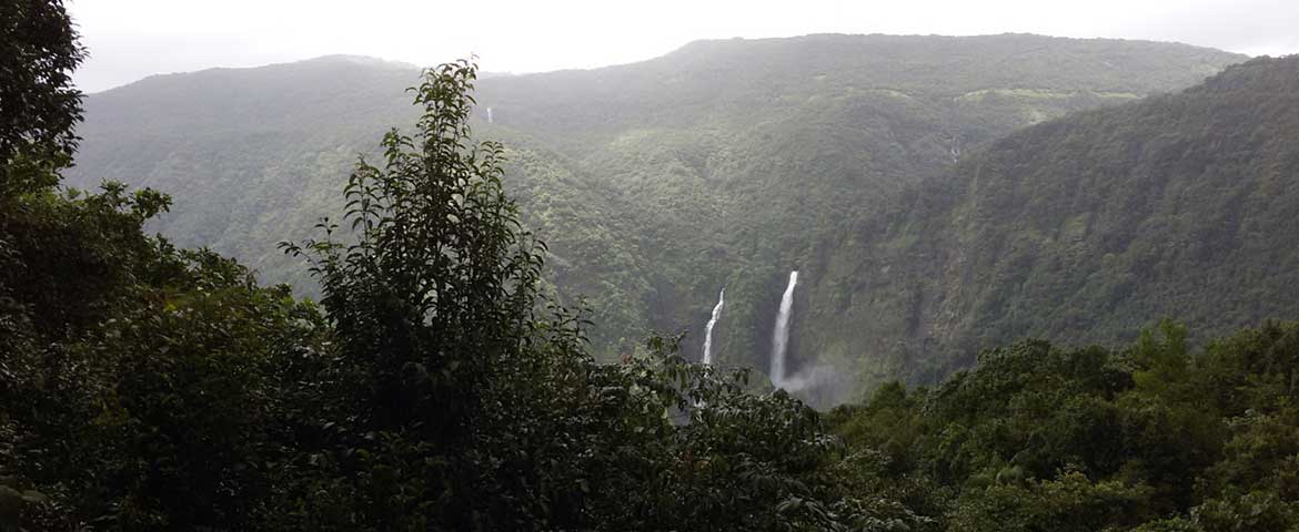 Nature Resorts Goa : www.BestGoaDeals.com